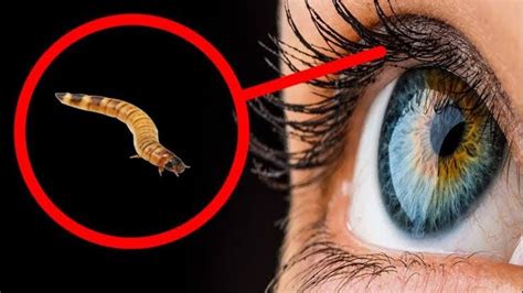 মানব শরীরের অজানা তথ্য Facts About Human Body In Bangla Youtube