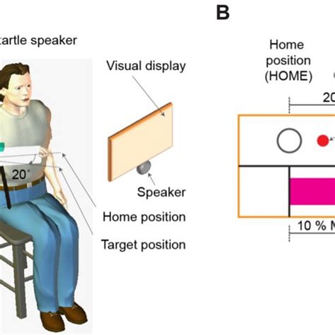 Experimental Setup A A Single Degree Of Freedom Robotic Manipulator Download Scientific