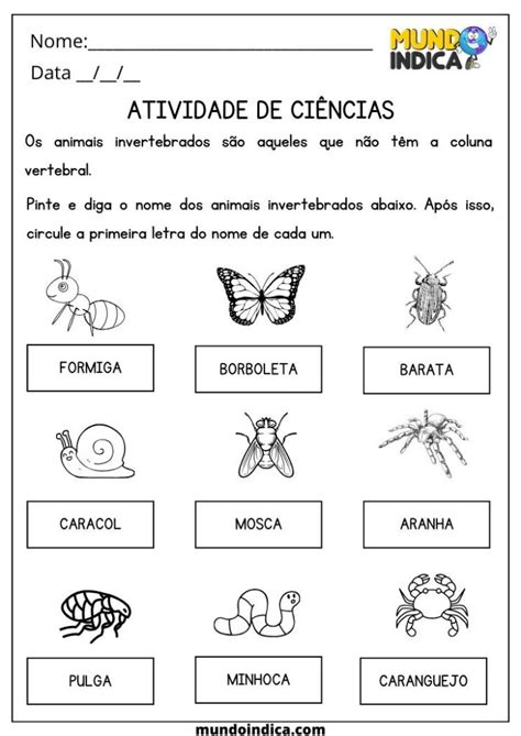 20 Atividades de Ciências 3 Ano Fundamental