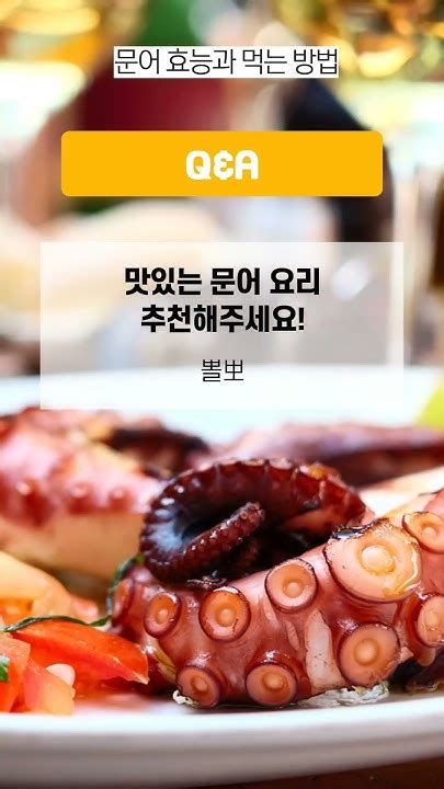 문어 효능과 맛있게 먹는 요리 레시피 알려드릴게요 Youtube