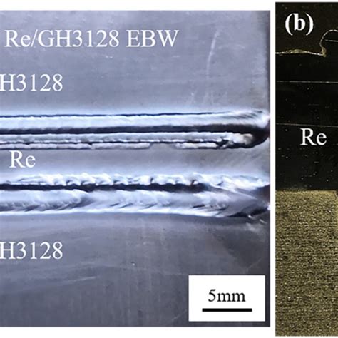 14 Examples Of Planar A And Cellular Dendritic B Growth Modes Download Scientific Diagram