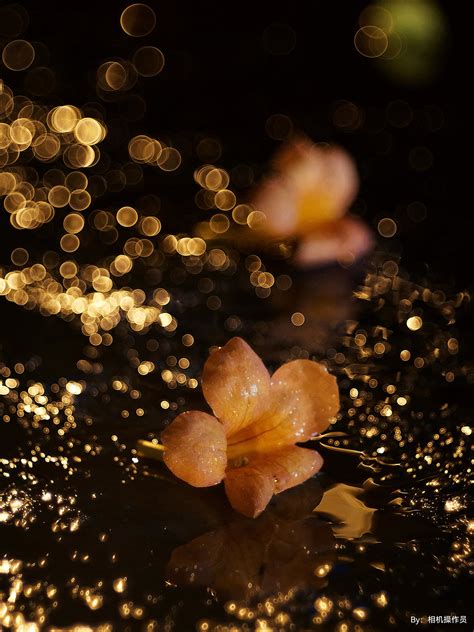 Ttartisan 100mm F2 8 Soap Bubble Bokeh Ttartisannz