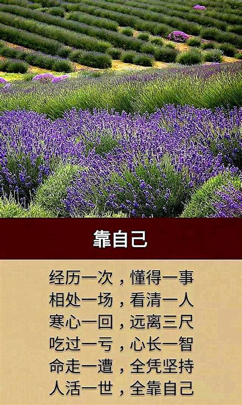 笑在人前哭在人後累在身上苦在心頭精闢 每日頭條