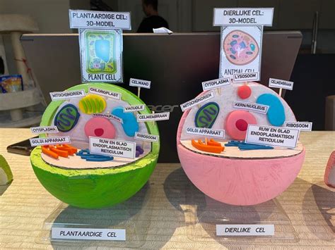 There Are Two Balls With Different Designs On Them