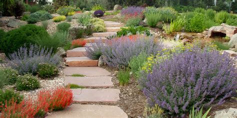 Xeriscaping Guide Landscaping Design With Drought Tolerant Plants