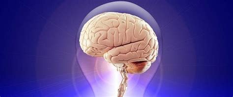 Difference Between IQ And EQ With Comparison Chart Key Differences