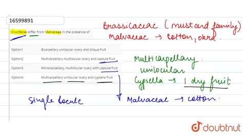 Monocarpellary Multilocular Ovary With Capsule Fruit