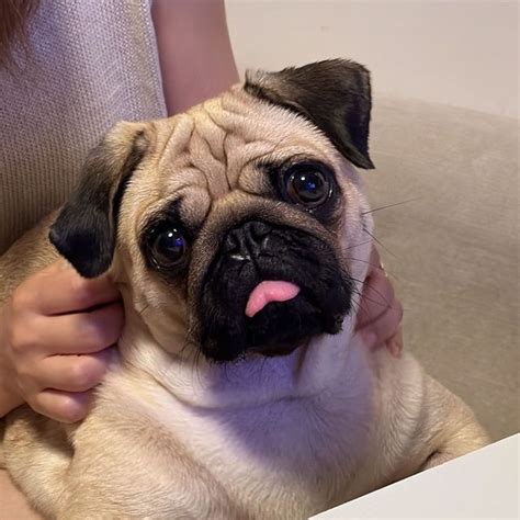 Xena The Traveller S Wife Travellerwife Threads Say More