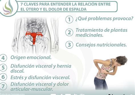 Creutzfeldt Jakob qué es síntomas causas y tratamiento de la enfermedad