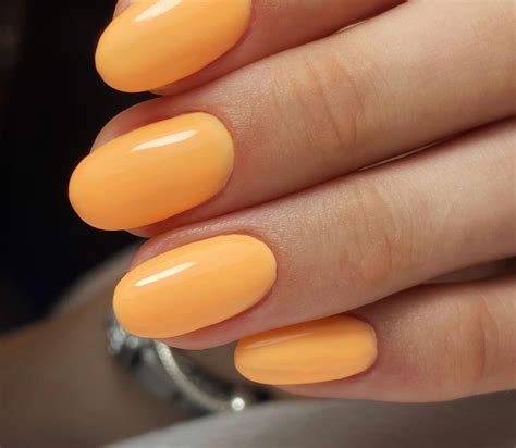 לק גל מבנה אנטומי Tamy Shamalov המרכז לאסתטיקה ובריאות העור