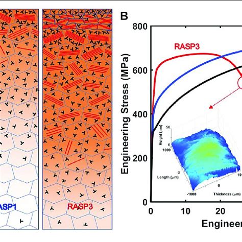 A Gradient Microstructures Of Cg Rasp1 And Rasp3 Samples Along