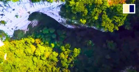 Scientists Discover A Stunning Forest Inside A Massive Sinkhole In