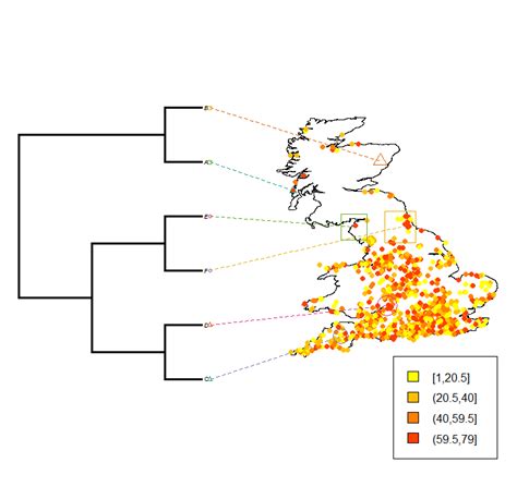 Ggplot Formatting Phylogeny To Map Projection Phylo To Plot Or Alternate Method In R