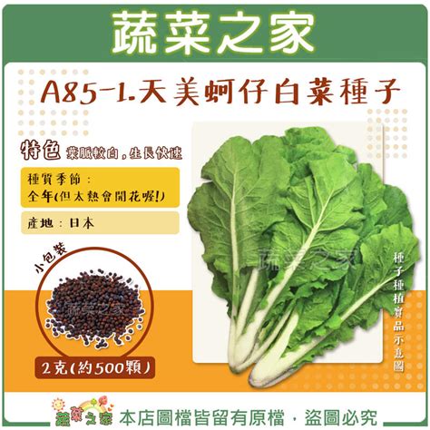 【蔬菜之家滿額免運】a85 1天美蚵仔白菜種子2克約500顆葉脈較白，生長快速。 露天市集 全台最大的網路購物市集