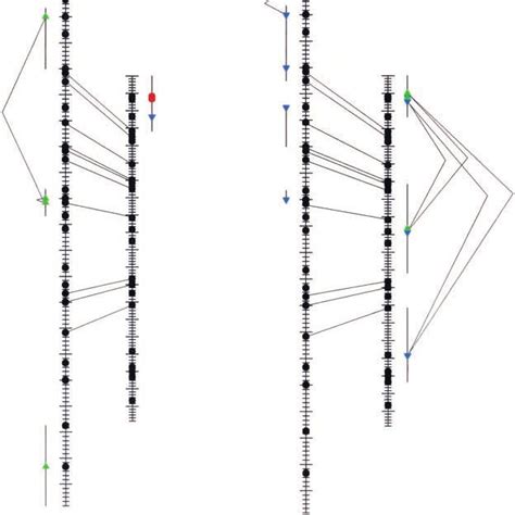 Qtl For The C1 Population The Length Of Each Chromosome Is