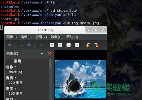 14个php项目教程列表 知乎