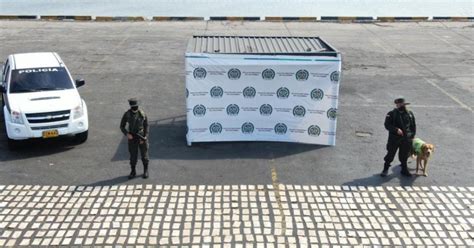 Gracias A Ronny Un Perro Antinarcóticos La Policía Halló 304 Kilos De