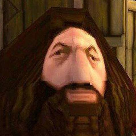 Harry Potter And The Sorcerers Stone Were All Ps1 Hagrid Ft Randall