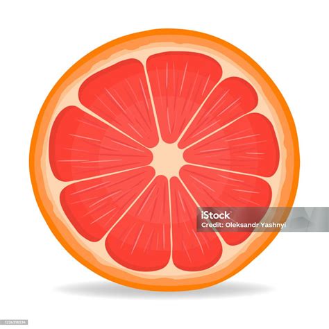 흰색 배경에 고립 된 신선한 밝은 이국적인 하프 컷 자몽 건강한 라이프 스타일을위한 여름 과일 유기농 과일 만화 스타일입니다 모든 디자인에 대한 벡터 그림입니다 분홍에 대한