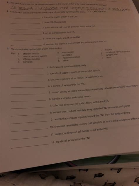 solved 1 the basic functional unit of the nervous system is