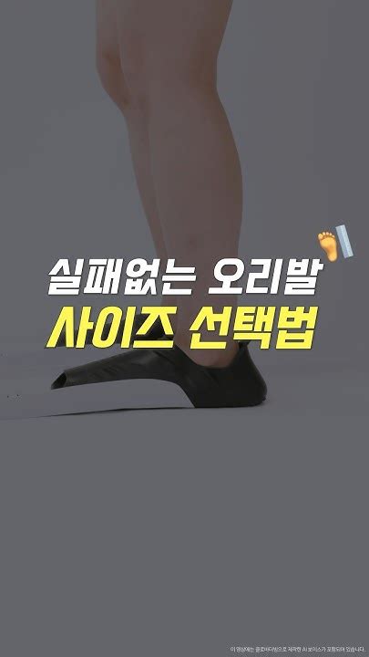 실패없는 오리발 사이즈 선택법🦶📐 Youtube