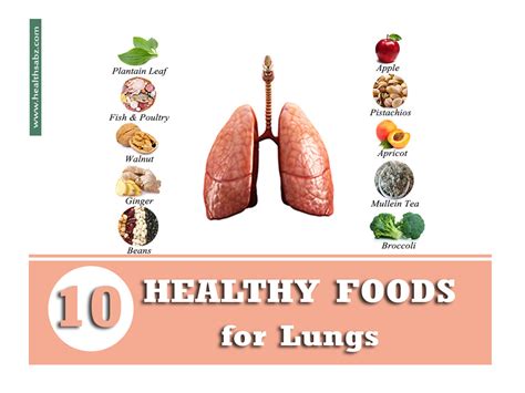 10 Healthy Foods For Lungs Stay Clean Inside Healthsabz