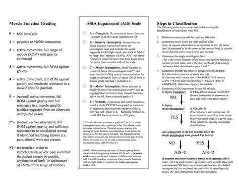 International Standards For Neurological Classification Of Spinal Cord