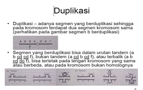 Genetika Gen And Kromosom