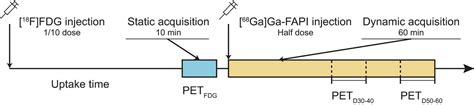 The Role Of Total Body PET In Drug Development And Evaluation Status