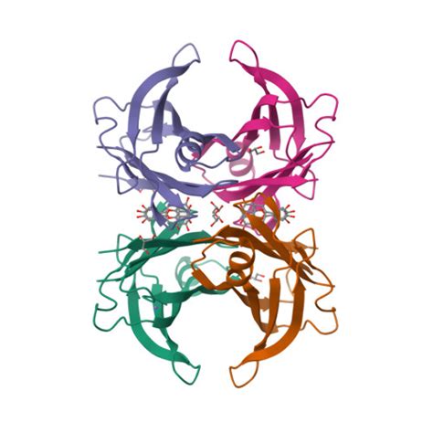 Rcsb Pdb 4qxv Crystal Structure Of Human Transthyretin In Complex