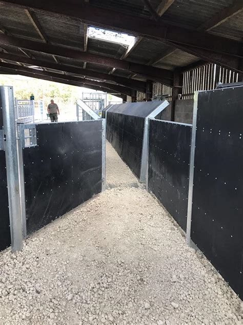 Cattle Handling System Part 2