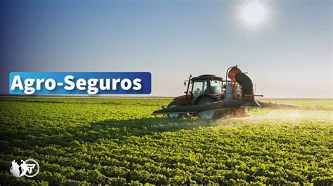 Seguros agrícolas Comprometidos con el AGRO desde el primer paso Estudio Etchevers