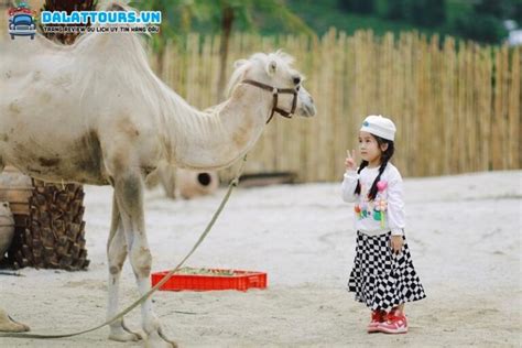 Review Mongo Land Dalat Cập Nhật Giá Vé And địa điểm Vui Chơi