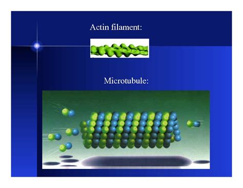 Introduction To Polymerization Kinetics