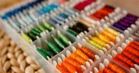 Macro Vs Micro Organizing What S The Difference