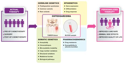 Ewing Sarcoma Karyotype