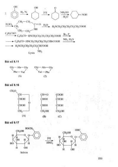 2 COOC2H5 COOC Hs 2 CU2