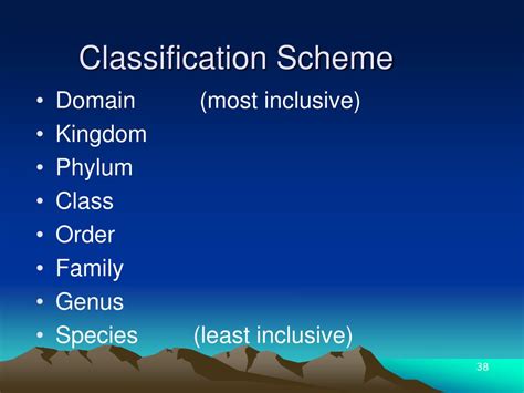 What Are Classification Schemes At Clifford Zak Blog