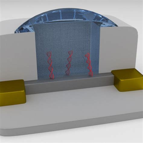 Imec Presents Smallest Finfet Based Biosensor For High Sensitivity Molecule Detection Imec