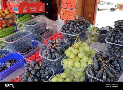 Obst Als Gesundes Nahrungsmittel Viele Verschiedene Obstsorten Liegen