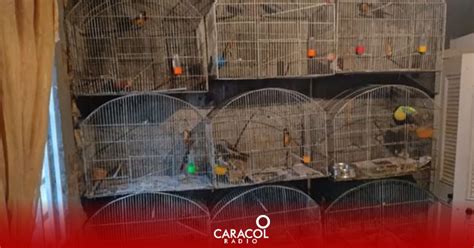 Recuperaron En Manizales 35 Aminales En Condición De Maltrato Extremo