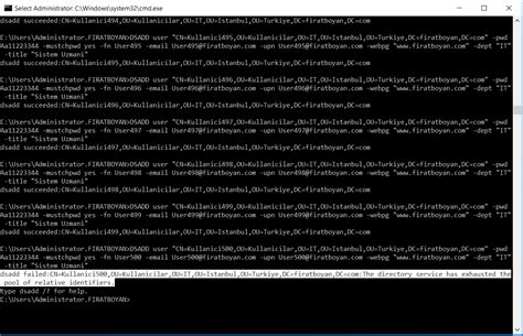 Directory Service Has Exhausted The Pool Of Rid Hatası