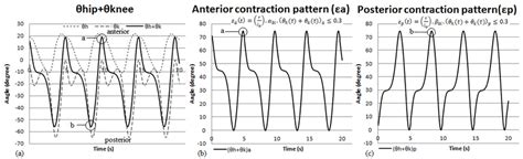 Antagonistic Bi Articular Actuator Contraction Patterns Positional