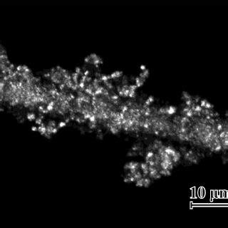 Optical Image Of Glass Fiber With SiO 2 Coating 4000 Download Scientific Diagram