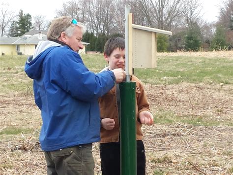 Mounting Nest Boxes At Brookside Columbus Audubon