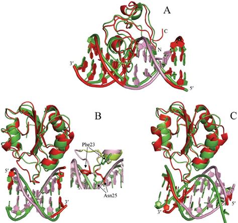 Comparison Of The Best Models From Docking And The Nmr Or X Ray Download Scientific Diagram