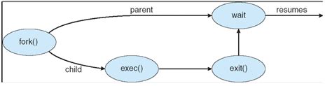 Solved 1 Goal Create A Shell Using The Coding Template Chegg Com