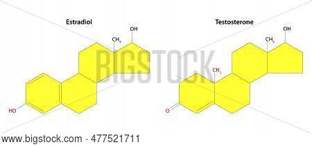 Sex Images Illustrations Vectors Free Bigstock