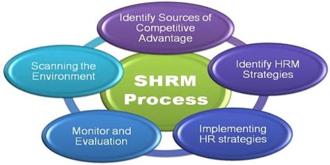 Strategic Human Resource Management Overview Assignment Point