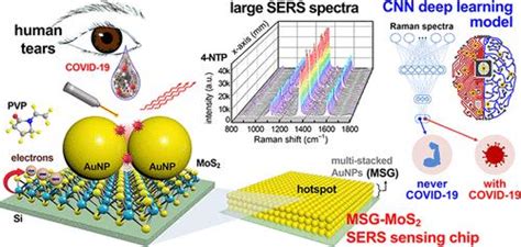 二硫化钼辅助自发形成多层金纳米粒子，用于深度学习集成表面增强拉曼散射acs Nano X Mol